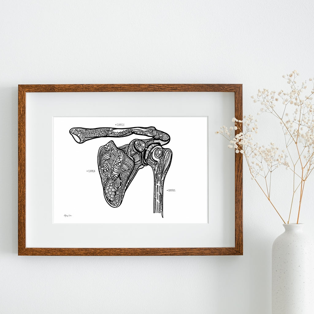 Shoulder Bones Drawing